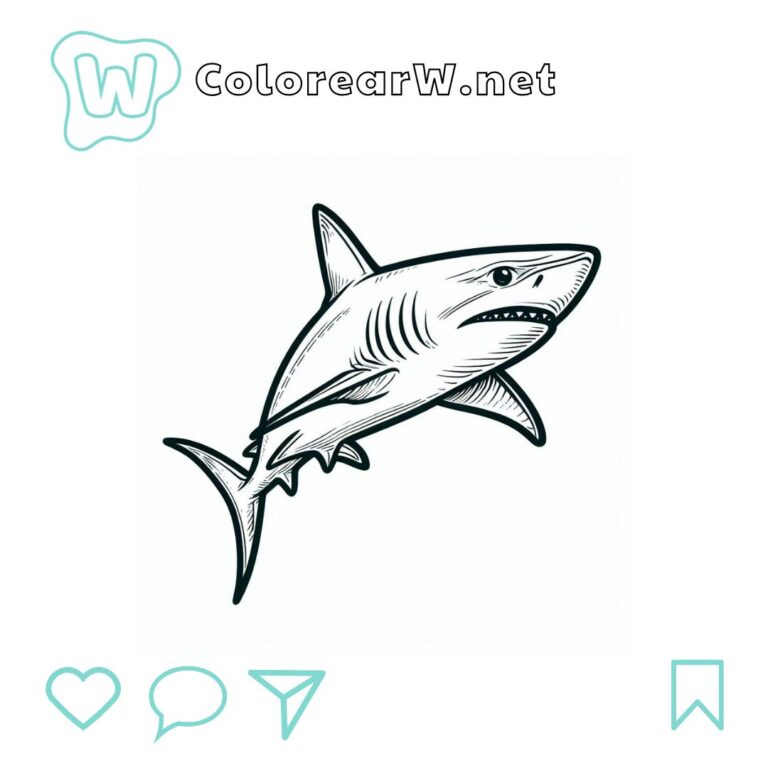 20 Squali da colorare - Scarica pagine da colorare in PDF