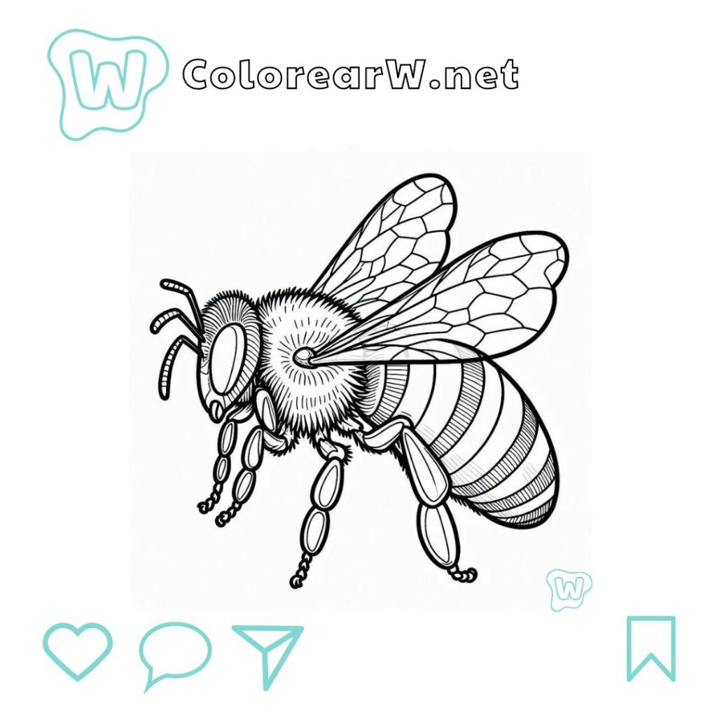 20 Abeja Para Colorear Imágenes Para Colorear Gratis